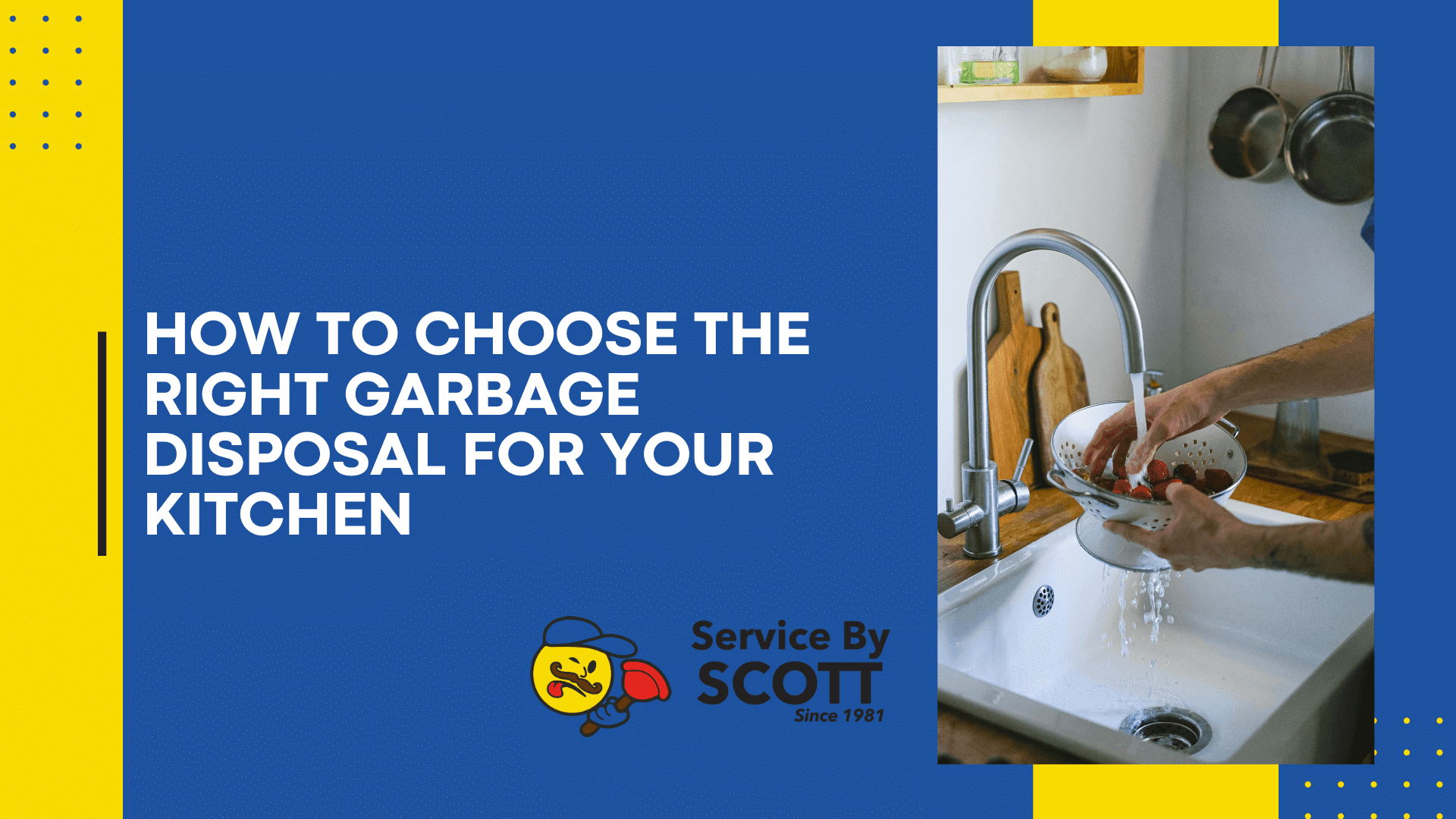 How to Choose the Right Garbage Disposal for Your Kitchen - Service By ...